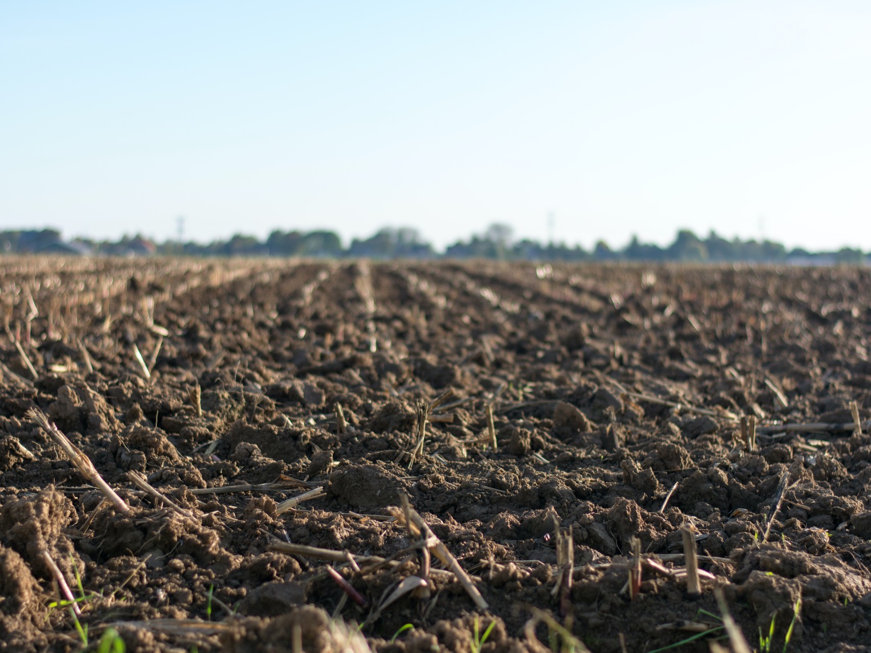 Soil Stabilisation Methods - Borehole Solutions Ltd